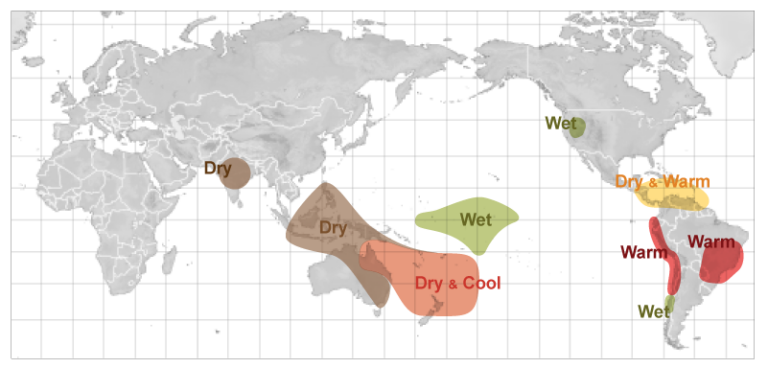 El Niño: Economic devastation and how it intersects with climate change